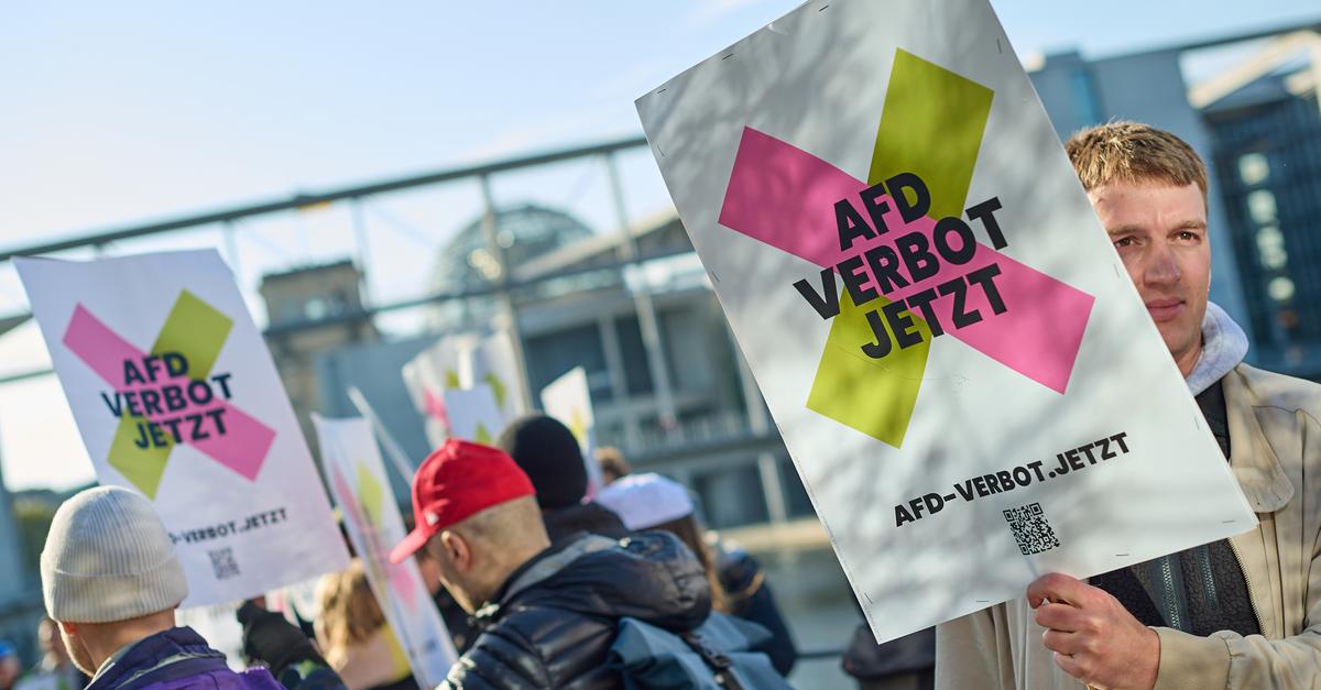 AfD-Verbot: So positionieren sich südhessische Abgeordnete